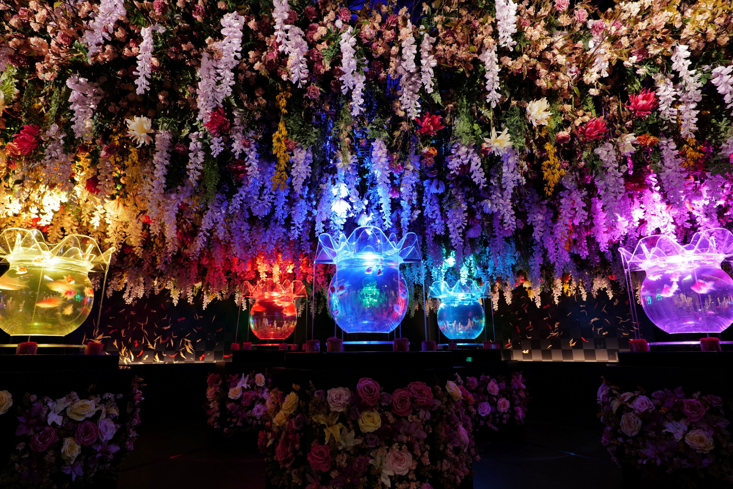 Art Aquarium Exhibition Saitama Super Arena 2026 to be held for the ...